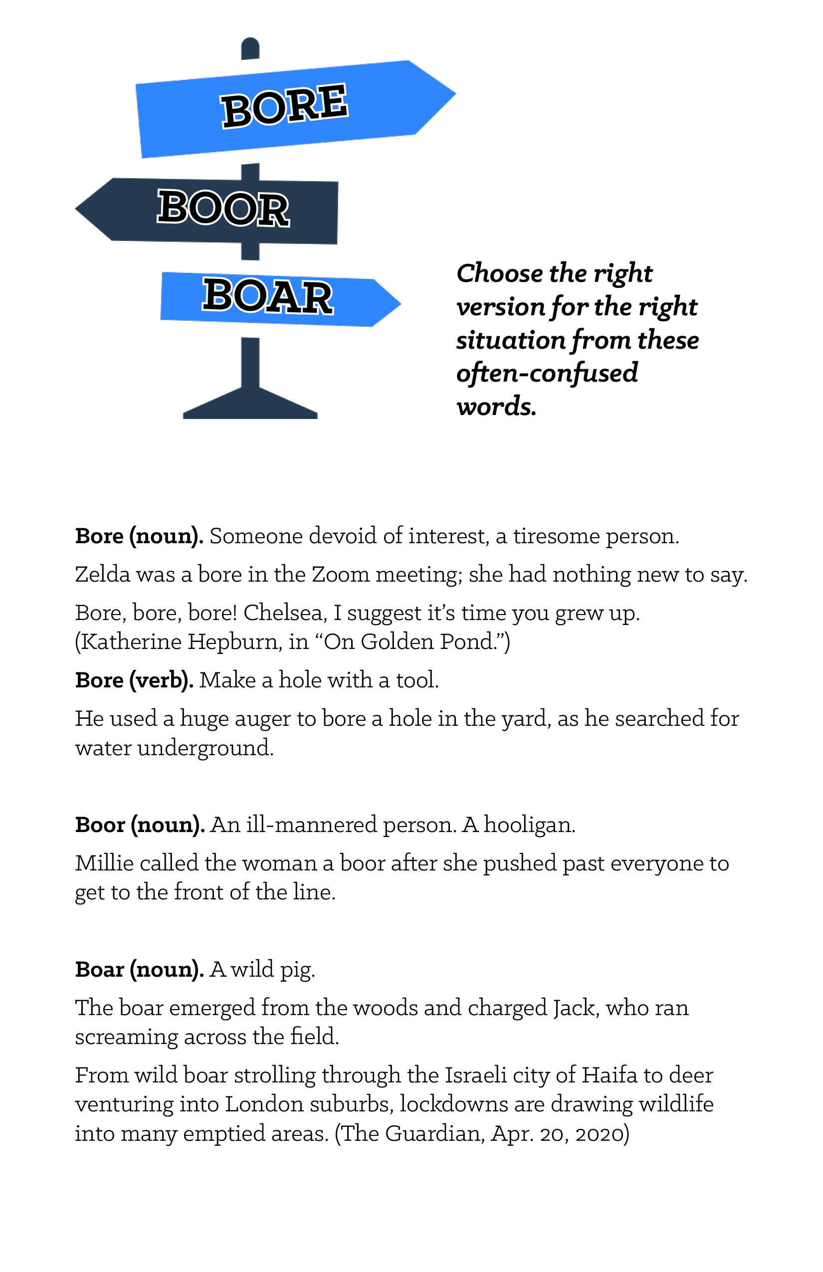 Bore, Boor, Boar: The Basics | The Dutty